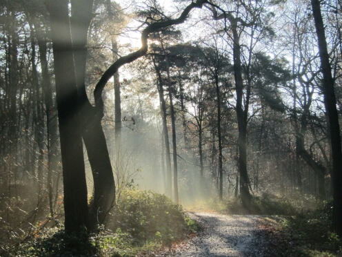 - Eschweiler Stadtwald